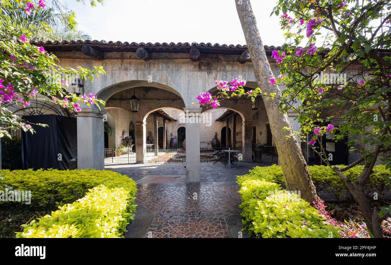 Tequila mexico city hi-res stock photography and images - Alamy