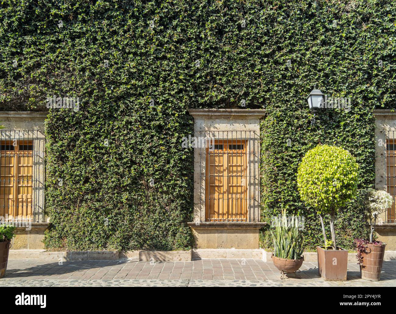 Tequila mexico city hi-res stock photography and images - Alamy