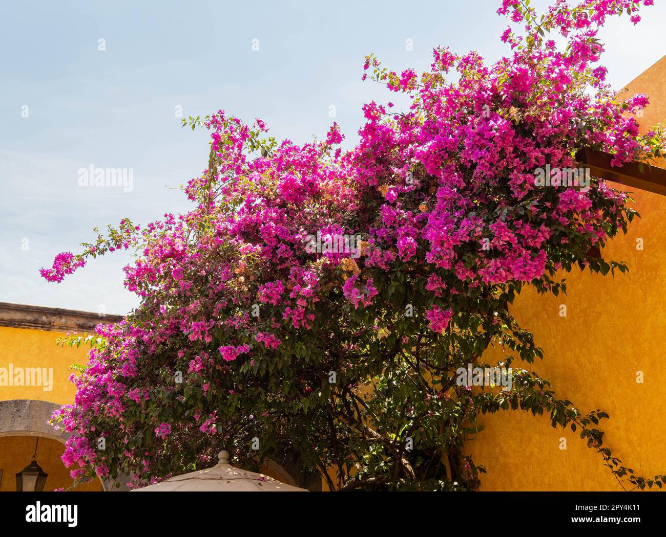 Fabrica la rojena hi-res stock photography and images - Alamy