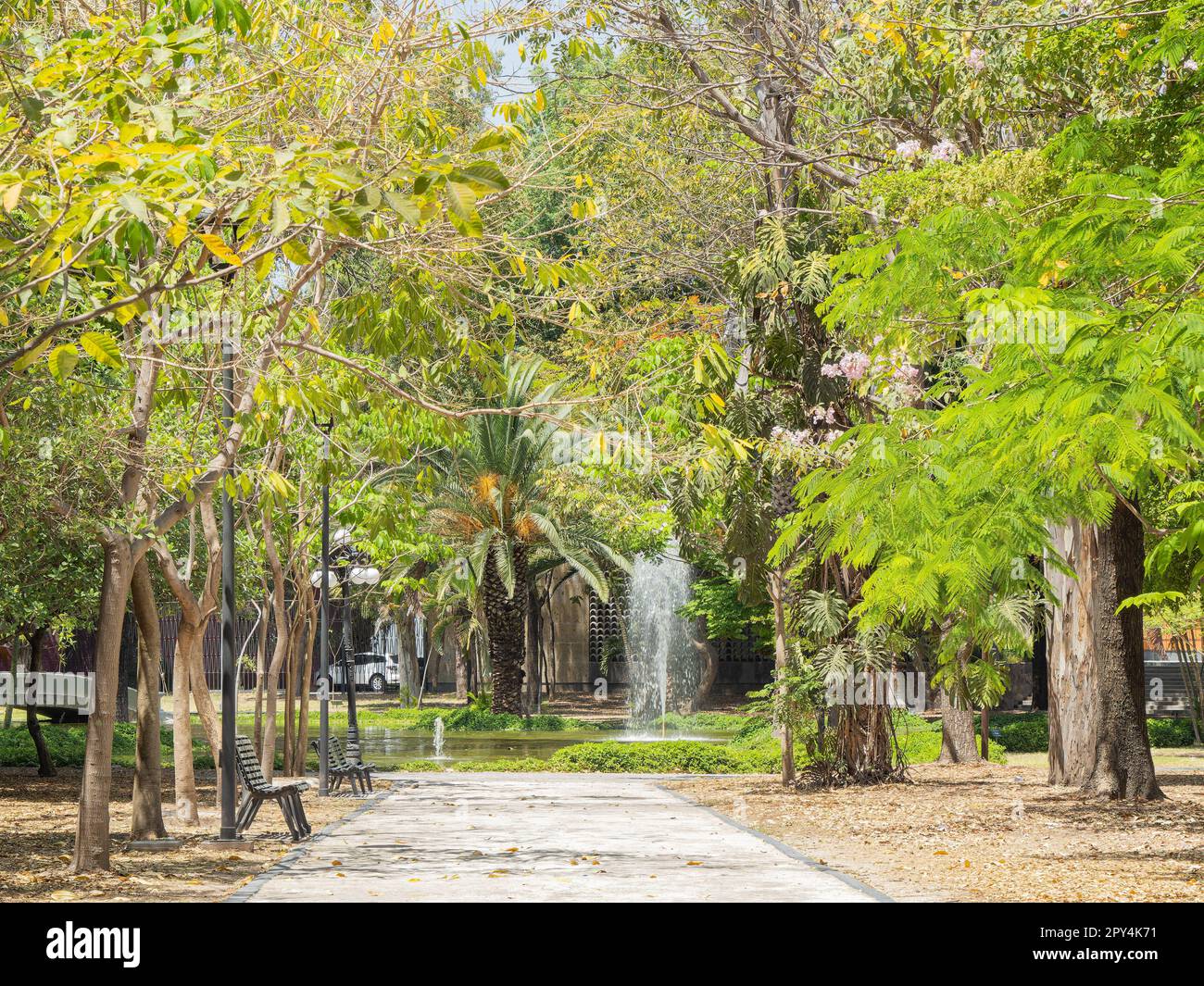 Parque natural agua azul mexico hi-res stock photography and images - Alamy