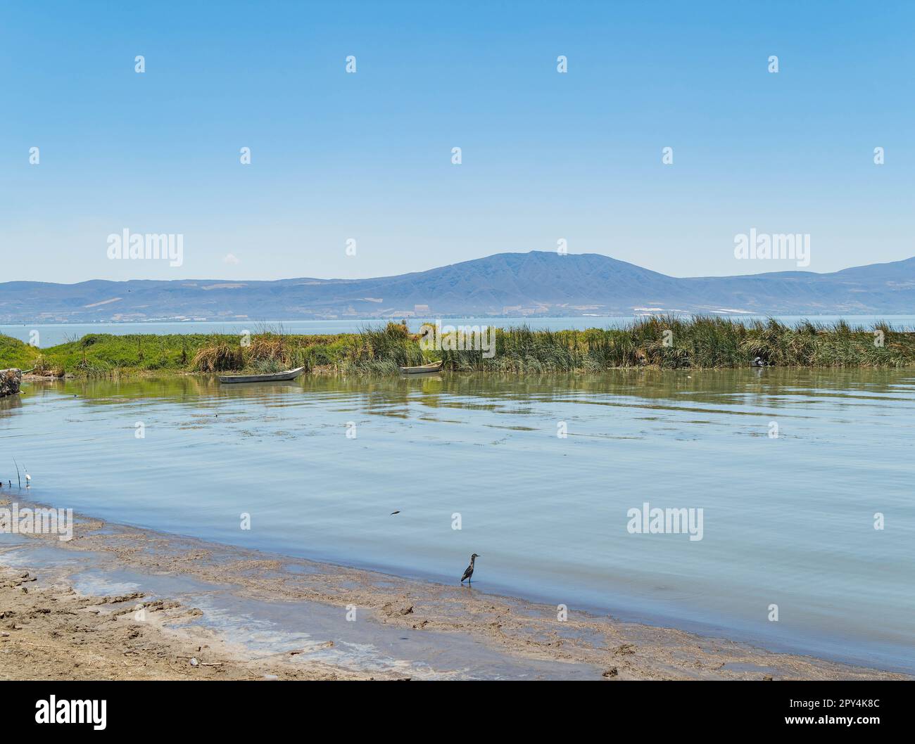 Guadalajara mexico lake chapala hi-res stock photography and images - Alamy