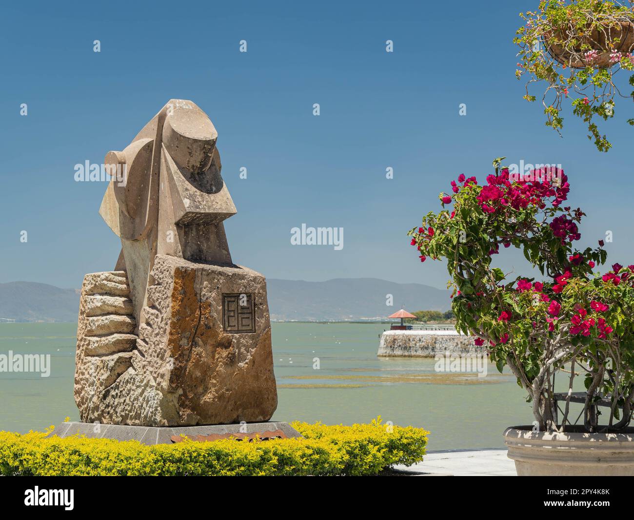 Purple Bougainvillea blossom along La Vela at Chapala, Mexico Stock ...
