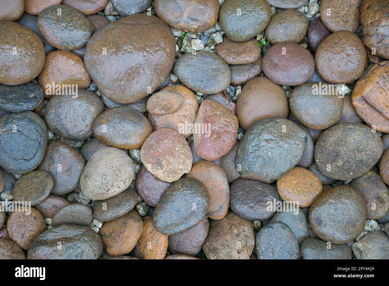 Wet rock river texture background Stock Photo - Alamy