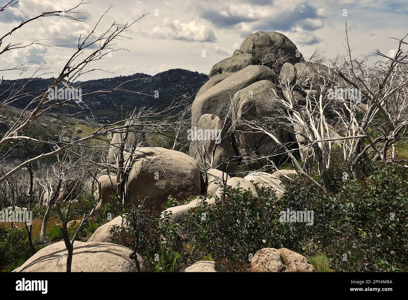 Alpine mountainous terrain hi-res stock photography and images - Alamy