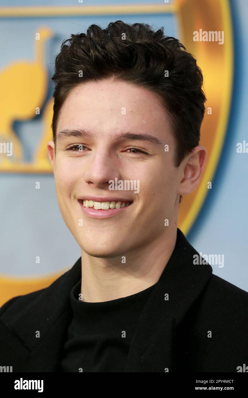 Harry Collett attends the "Dolittle" Special Screening at Cineworld ...