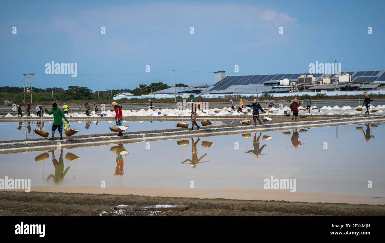 Ban Laem, Thailand. 25th Apr, 2023. Salt workers are busy carrying ...