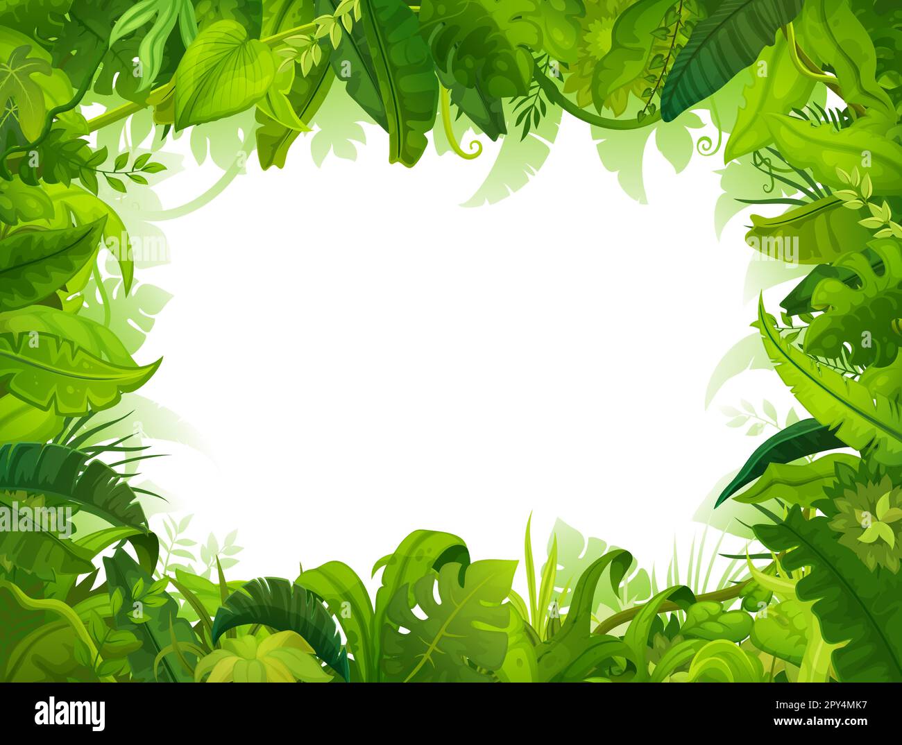 Cartoon jungle frame, green palm leaves background, vector tropical ...