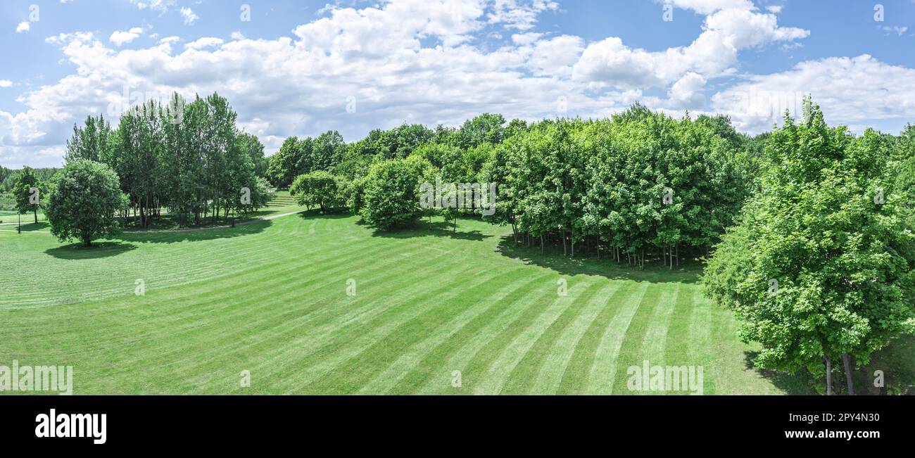 Panorama park forest pathway summer hi-res stock photography and images ...