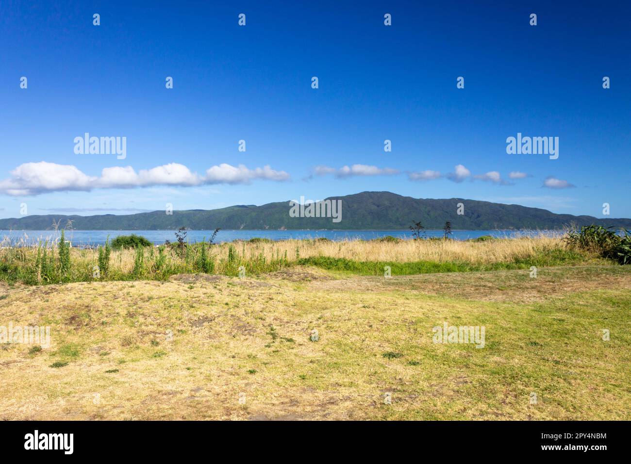Kapiti Island is an island about 5 km off the west coast of the lower ...