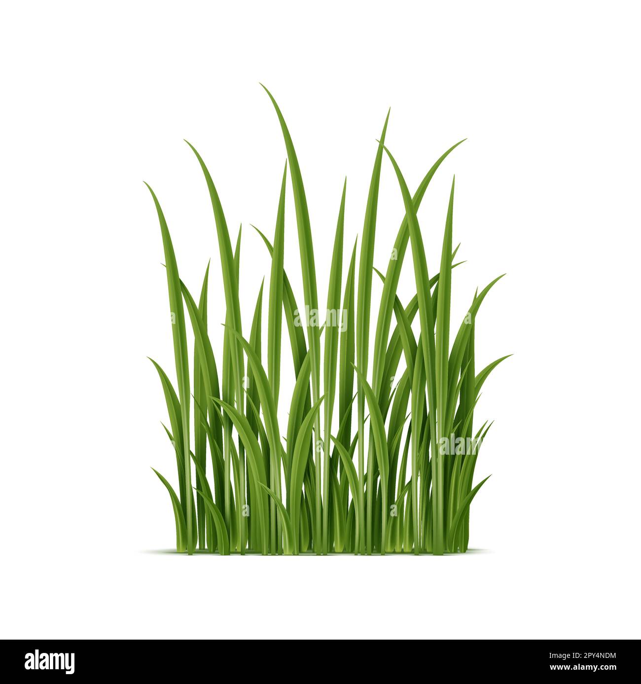 Lawn details Stock Vector Images - Alamy