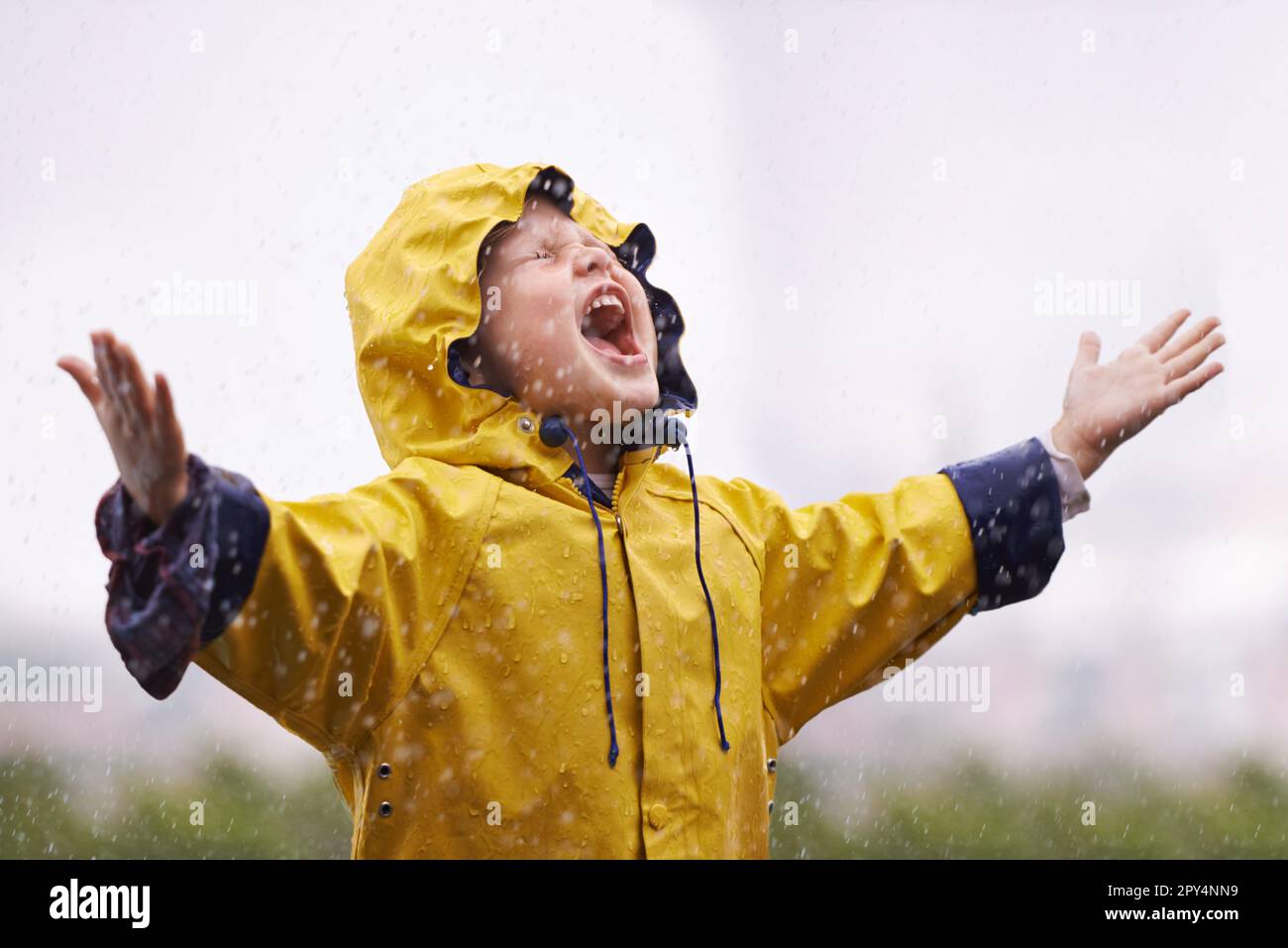 Girl, playing outdoor and screaming in rain, nature and excited with ...