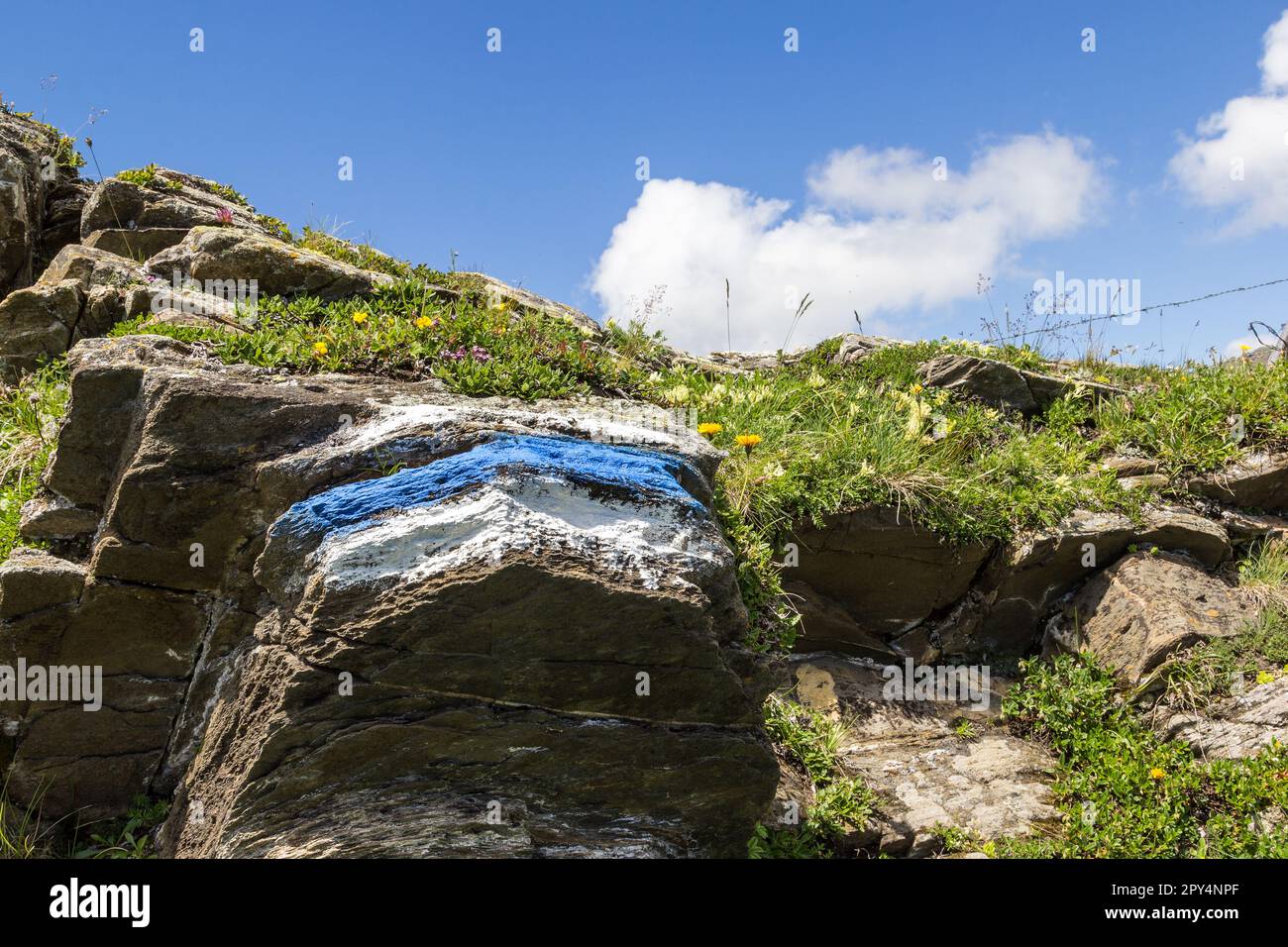 Hiking trails marker of a blue and white bars indicare the route ...