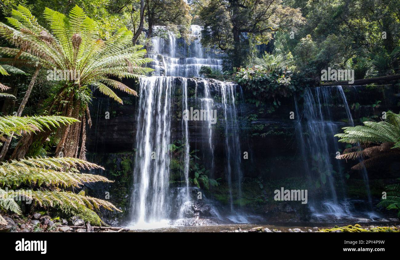 Russell falls australia tasmania hi-res stock photography and images ...