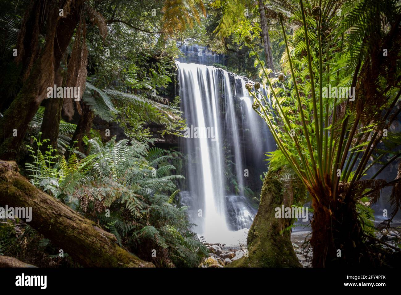 Russell Falls in Tasmania, Australia Stock Photo - Alamy