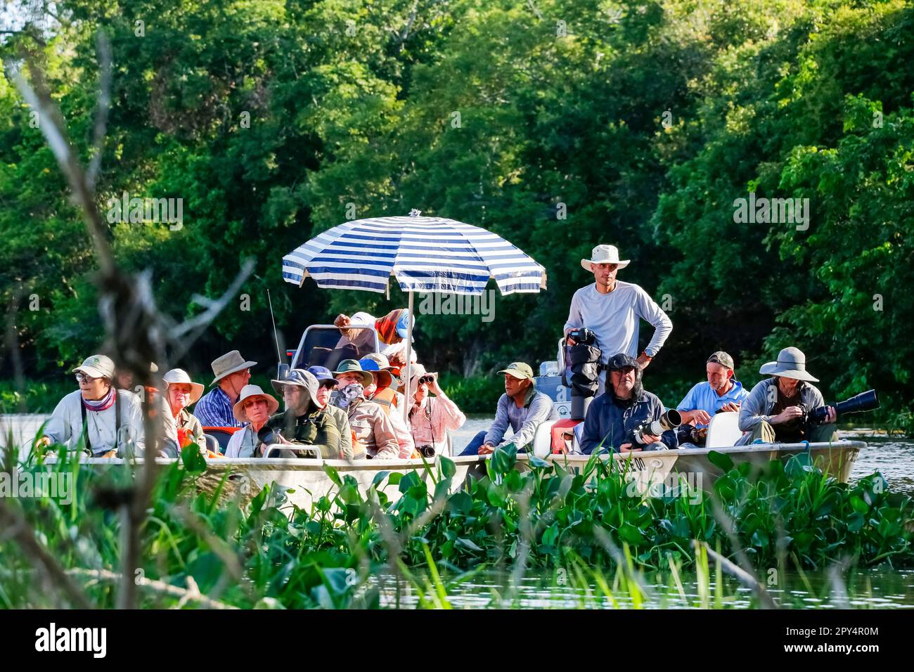 View of a typical Pantanal river from a boat on a sunny day, Pantanal ...