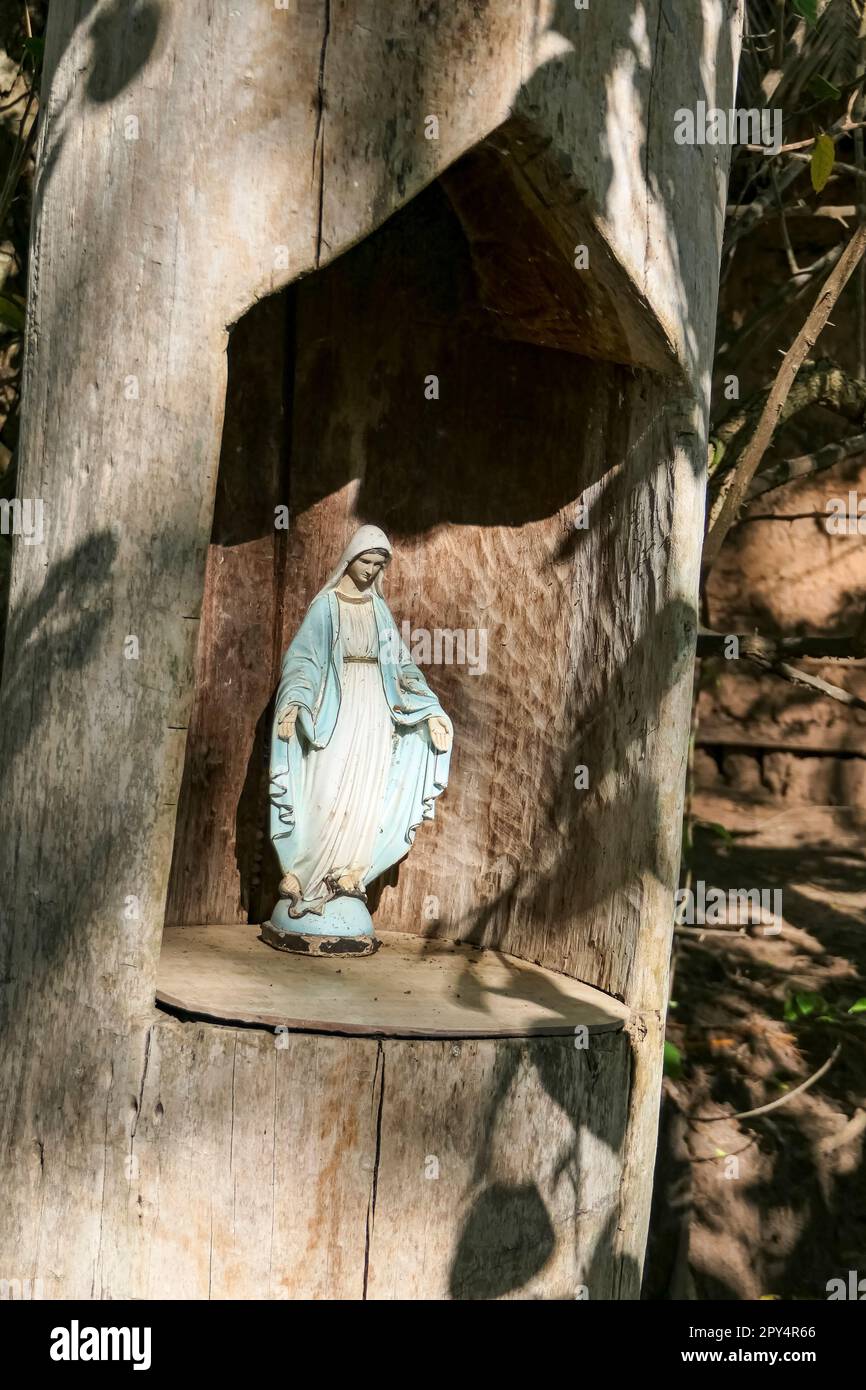 Madonna-Statue standing in a carved niche of a tree stump, Pantanal ...
