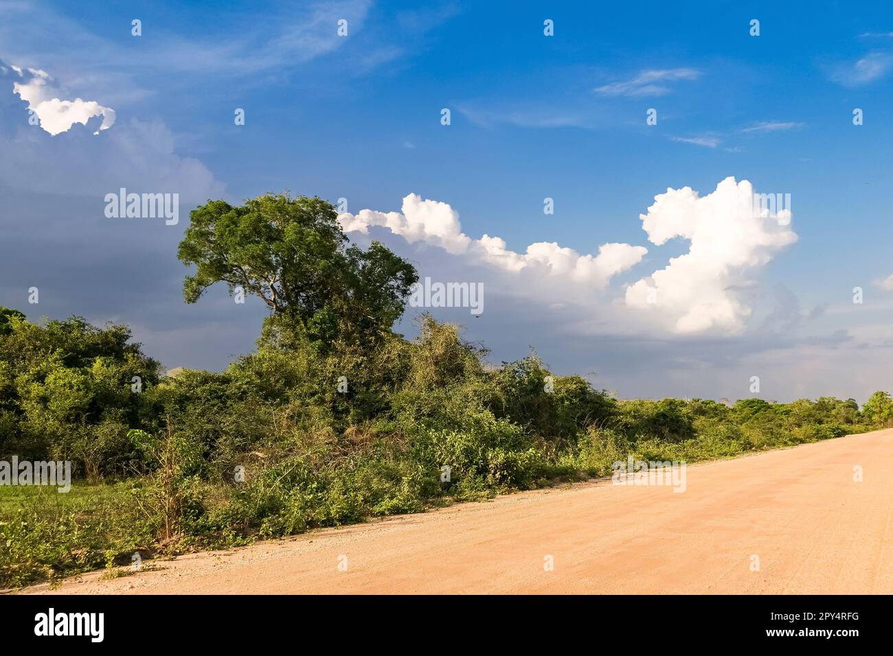 Brazil countryside hi-res stock photography and images - Alamy