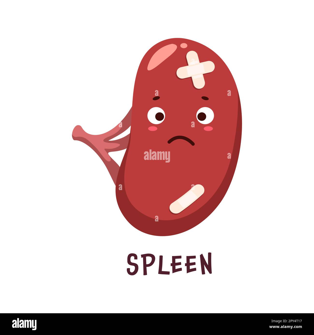 Spleen, sick body organ character injured or unhealthy, cartoon vector ...