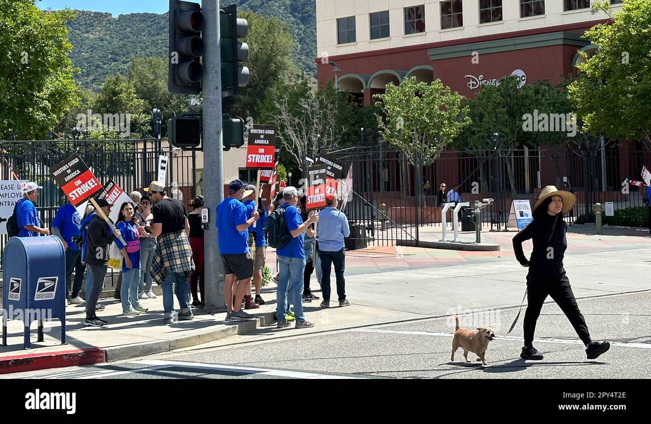 Dog picket line hi-res stock photography and images - Alamy