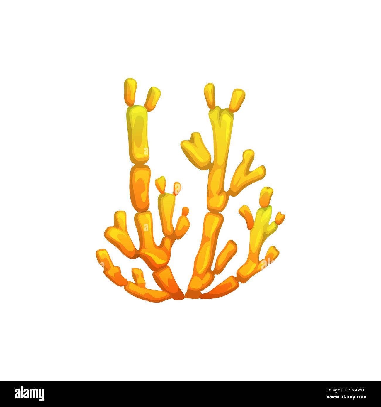 Cartoon underwater seaweed plant. Aquarium and sea algae. Underwater ...