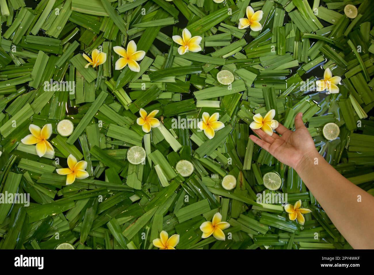 Woman preparing a natural herbal bath. Spa-treats: Regenerating herbal ...