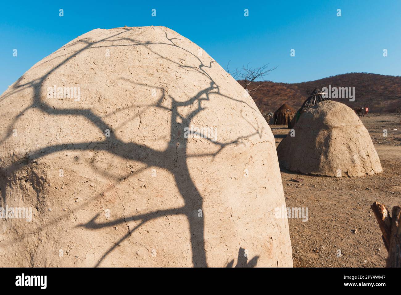 tree shadow on traditional hut made from dry grass and clay in Himba ...