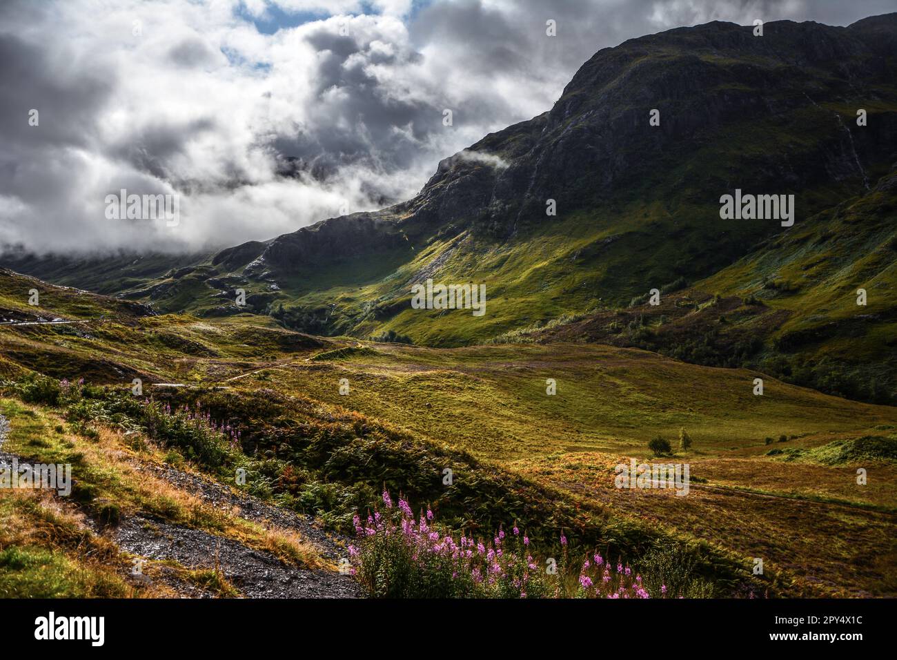 Harry coe hi-res stock photography and images - Alamy