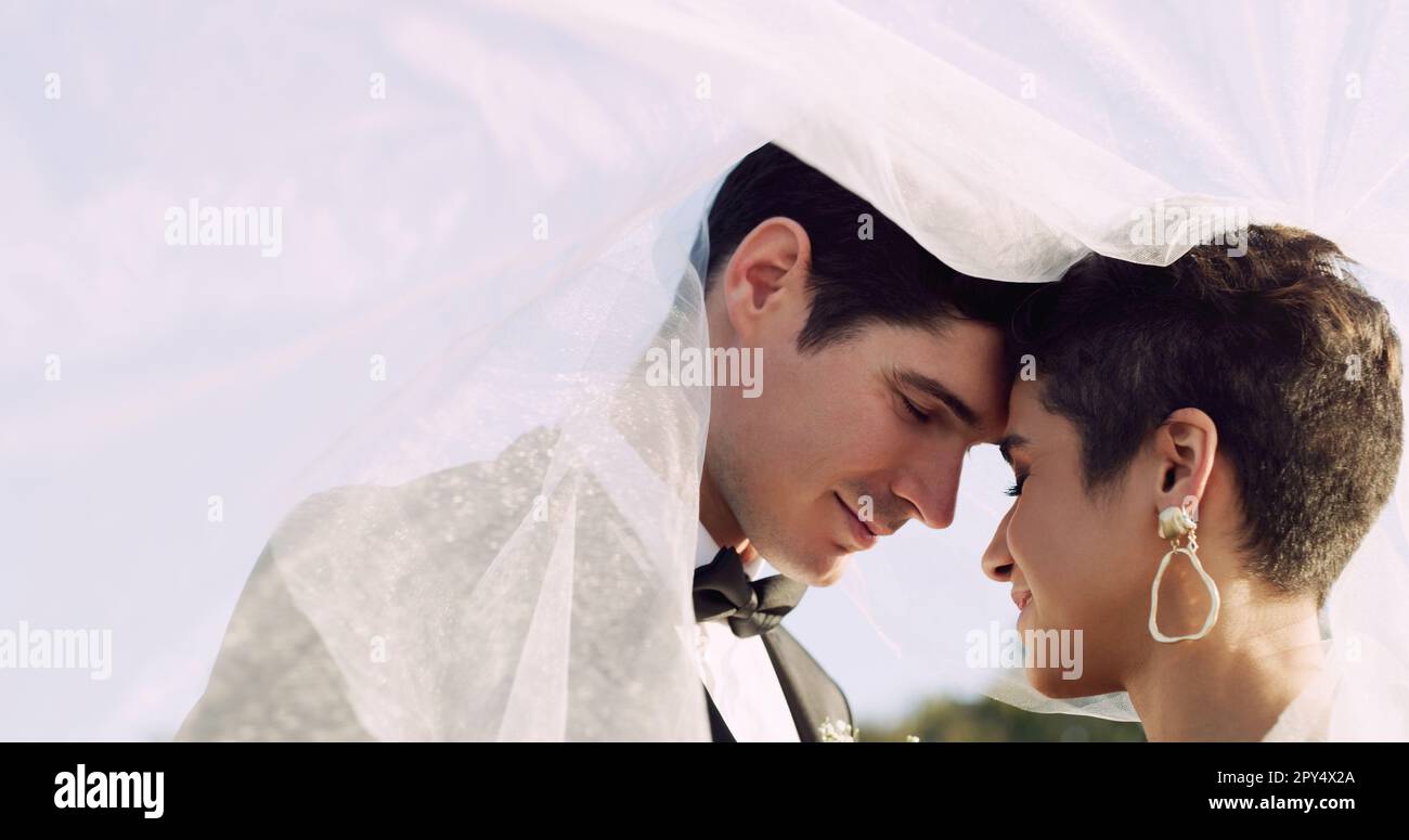 Soulmates is the correct way to describe them. an affectionate young ...