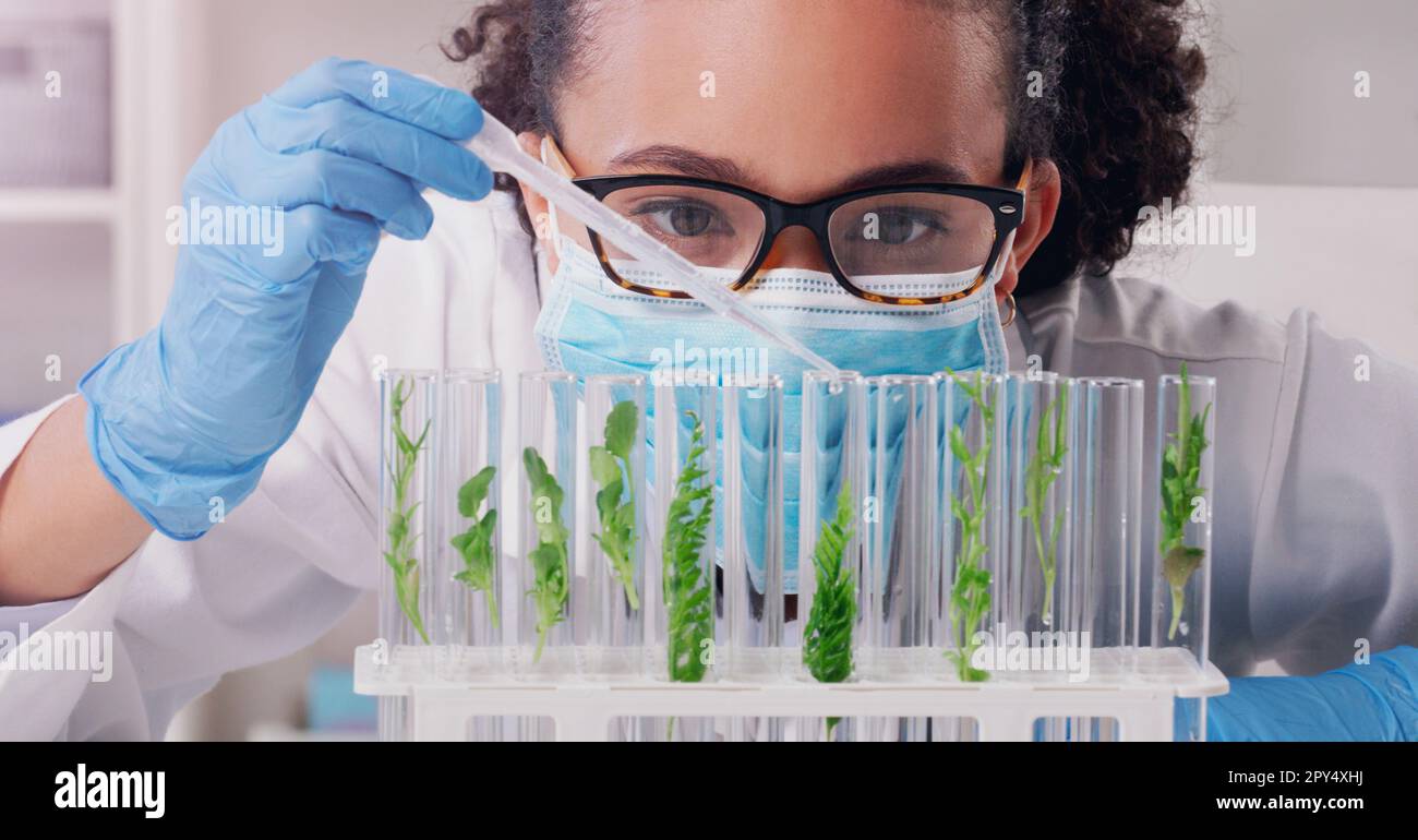 She studies all forms of plant life. a young scientist working with ...