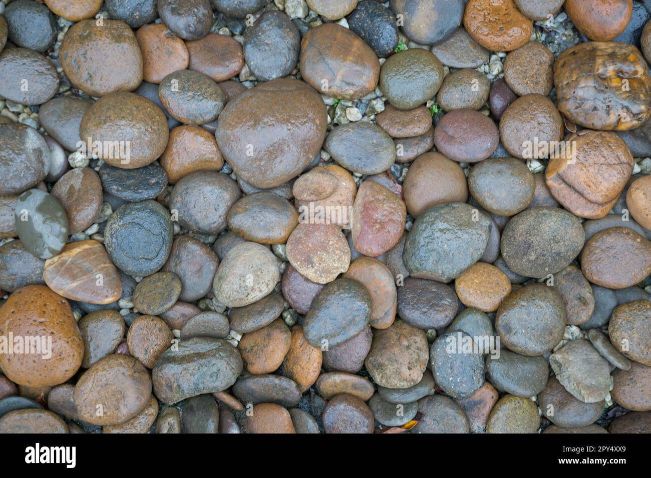 Wet rock river texture background Stock Photo - Alamy