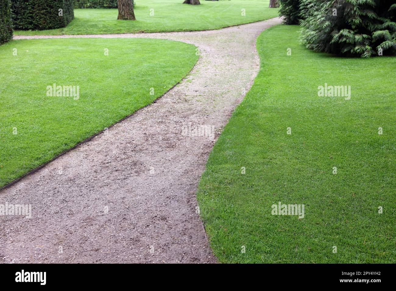 Pathway surrounded by beautiful green lawn outdoors. Landscape design ...