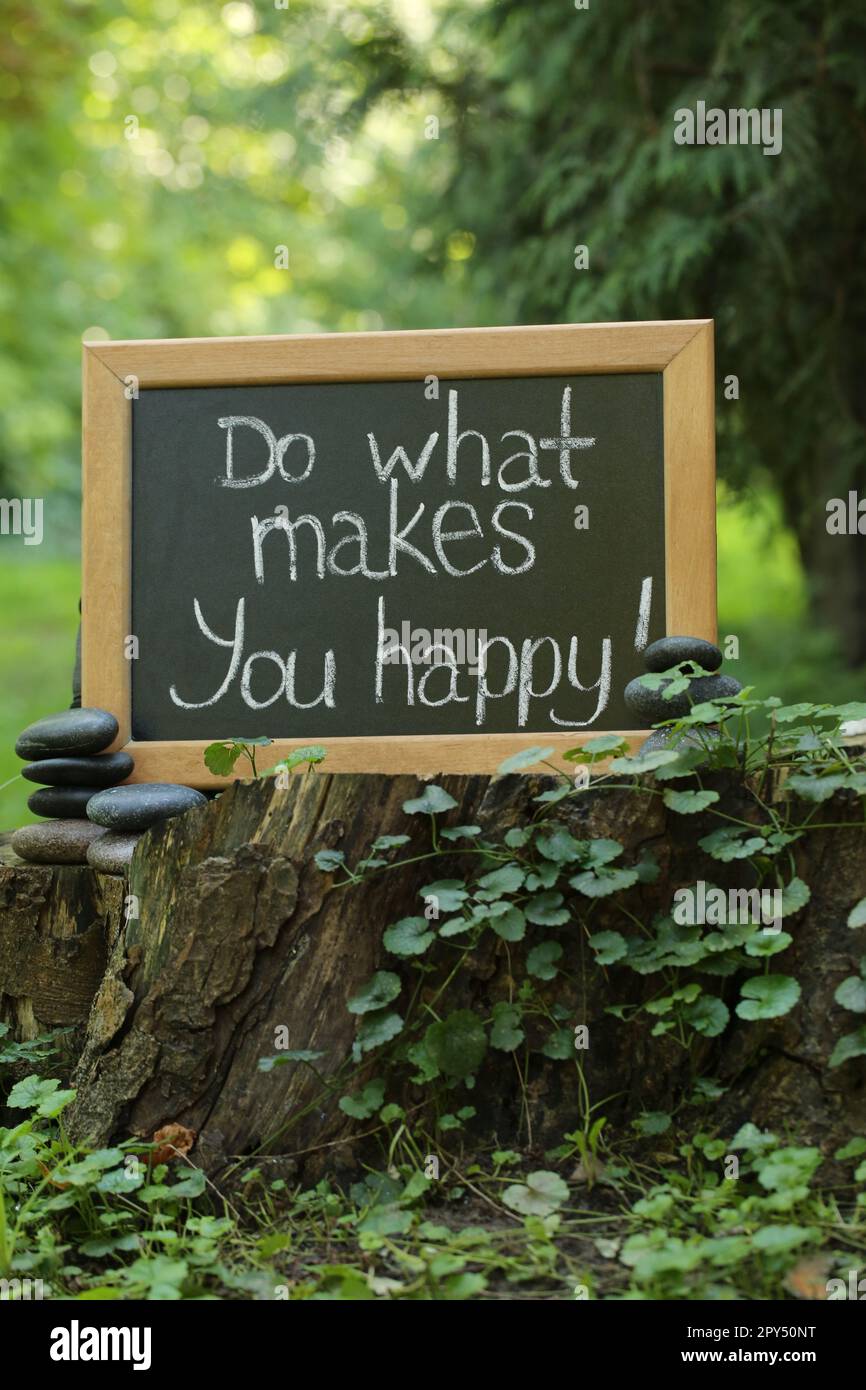 Chalkboard with phrase Do What Makes You Happy on stump outdoors Stock ...