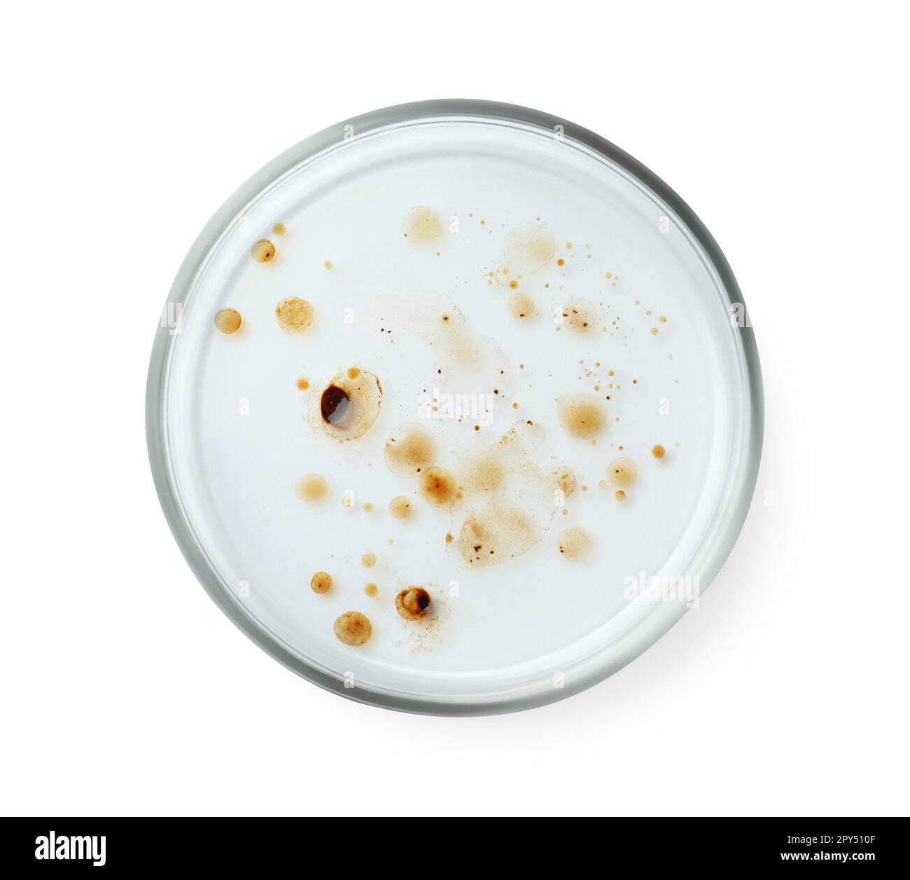 Petri dish with bacteria colony isolated on white, top view Stock Photo ...