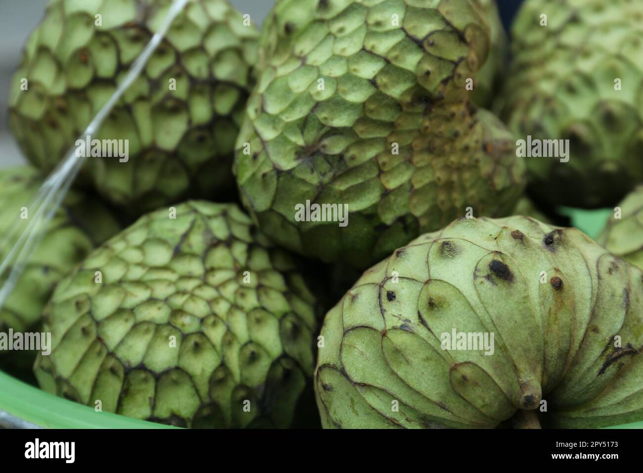 Delicious green cherimoya fruits on market stall, closeup Stock Photo ...