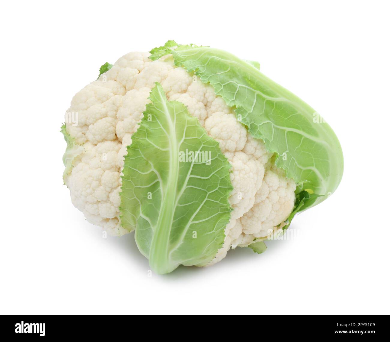 Whole fresh raw cauliflower on white background Stock Photo - Alamy