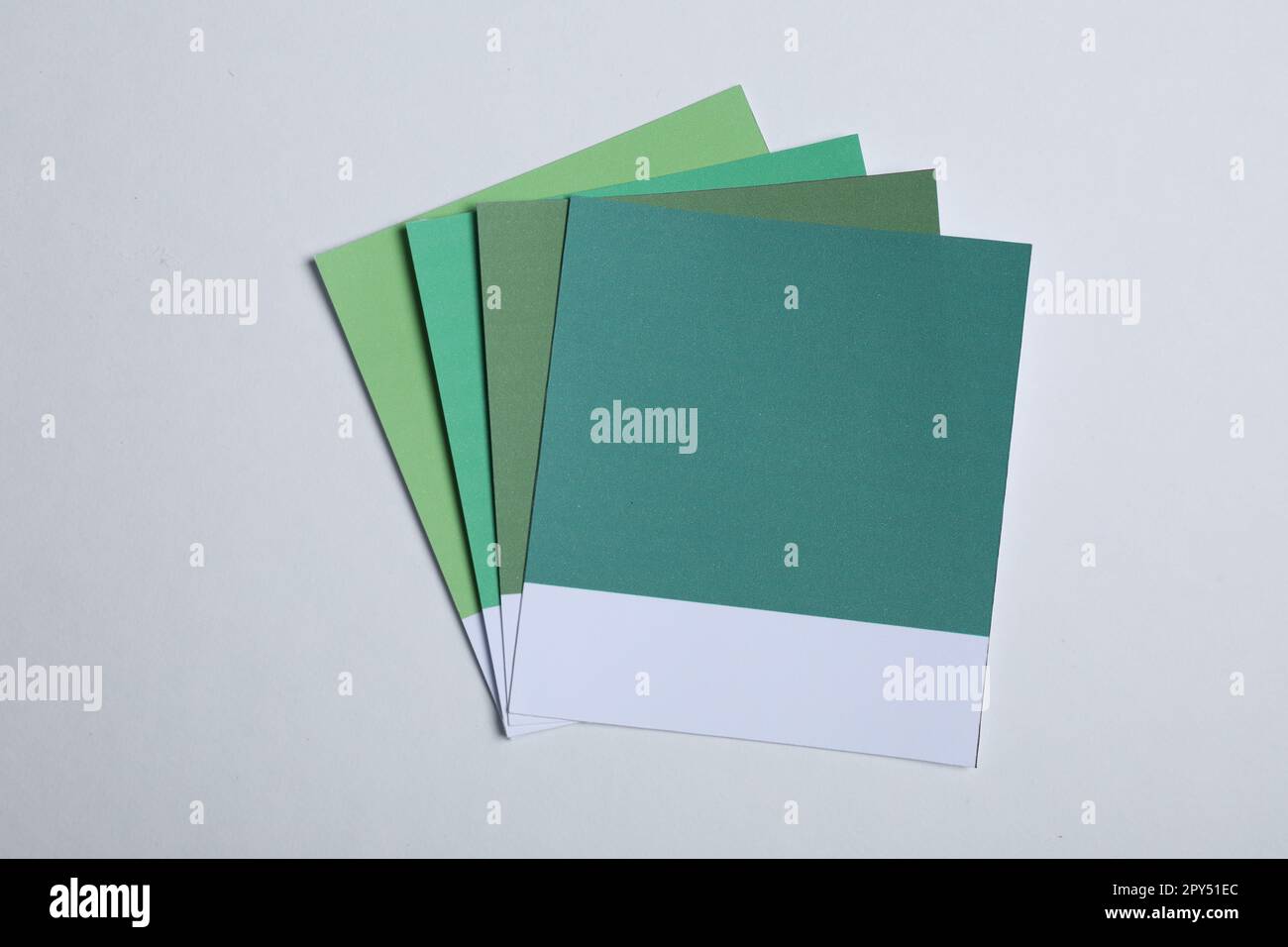 Color sample cards of green shades on light background, top view Stock ...