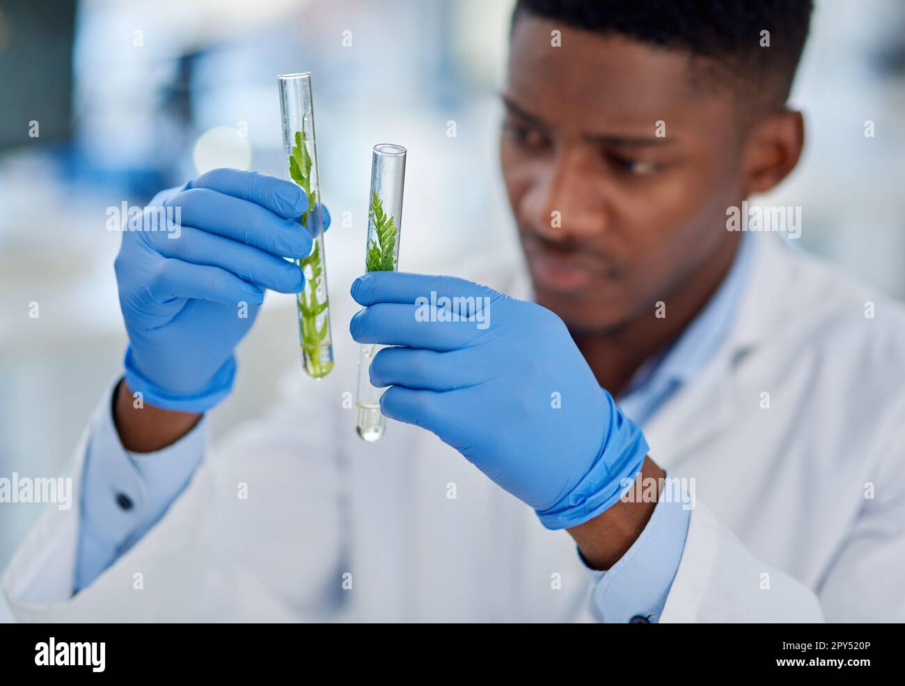 The one is definitely growing quicker than the other. a focused young ...