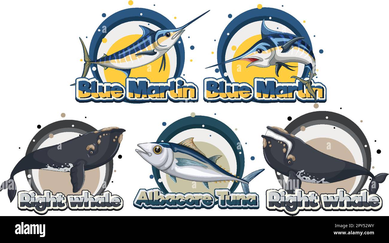 Aquatic animals cartoon collection illustration Stock Vector Image ...