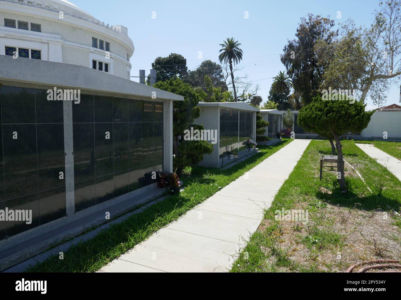 Gwenn mitchell hi-res stock photography and images - Alamy