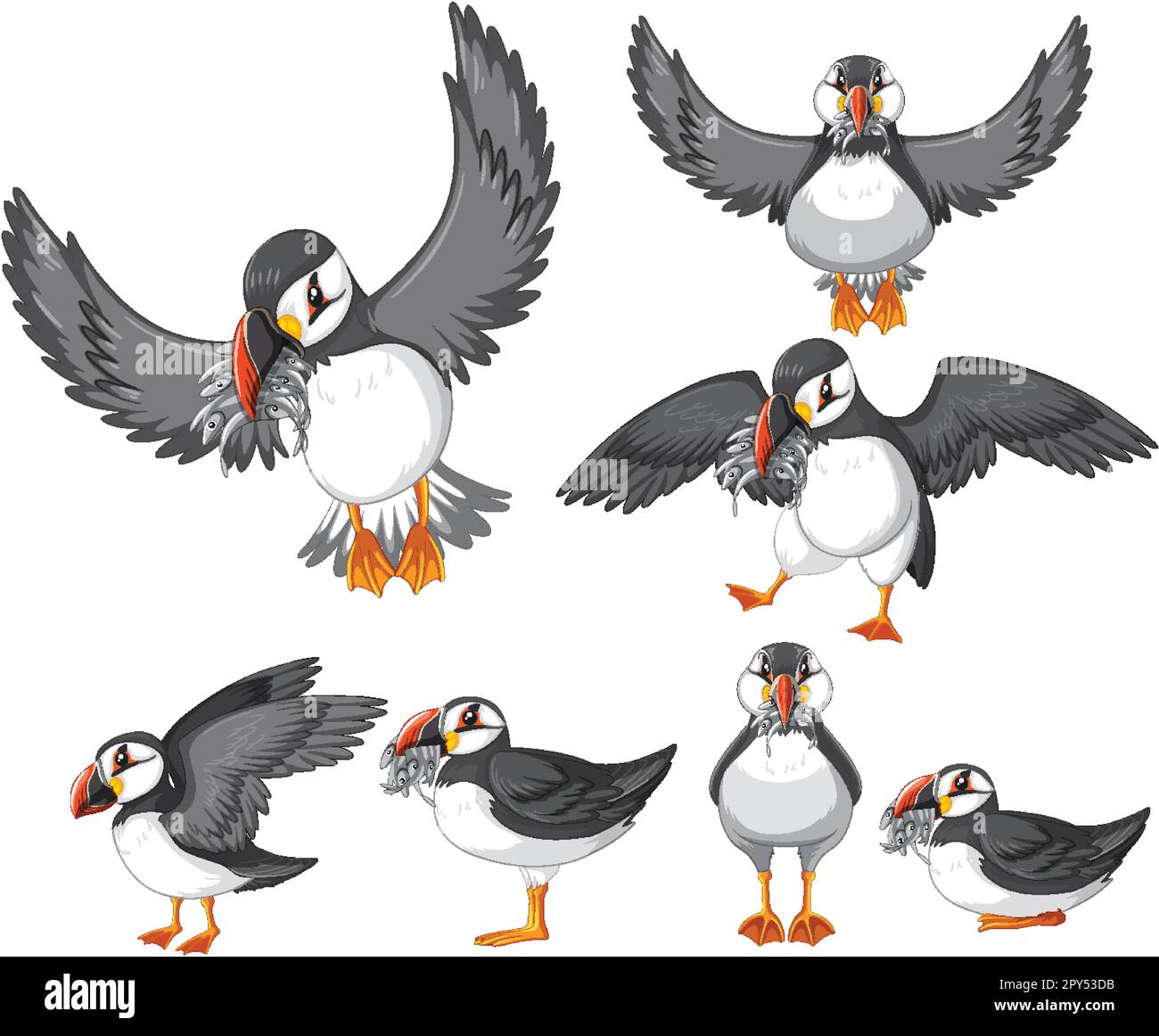 Puffin birds in cartoon style illustration Stock Vector Image & Art - Alamy