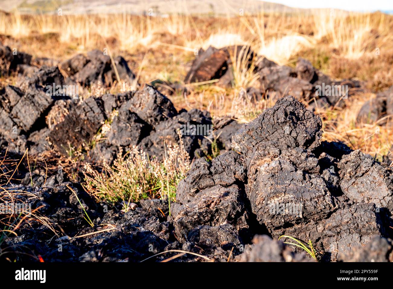 Peat Turf cutting in County Donegal - Ireland Stock Photo - Alamy