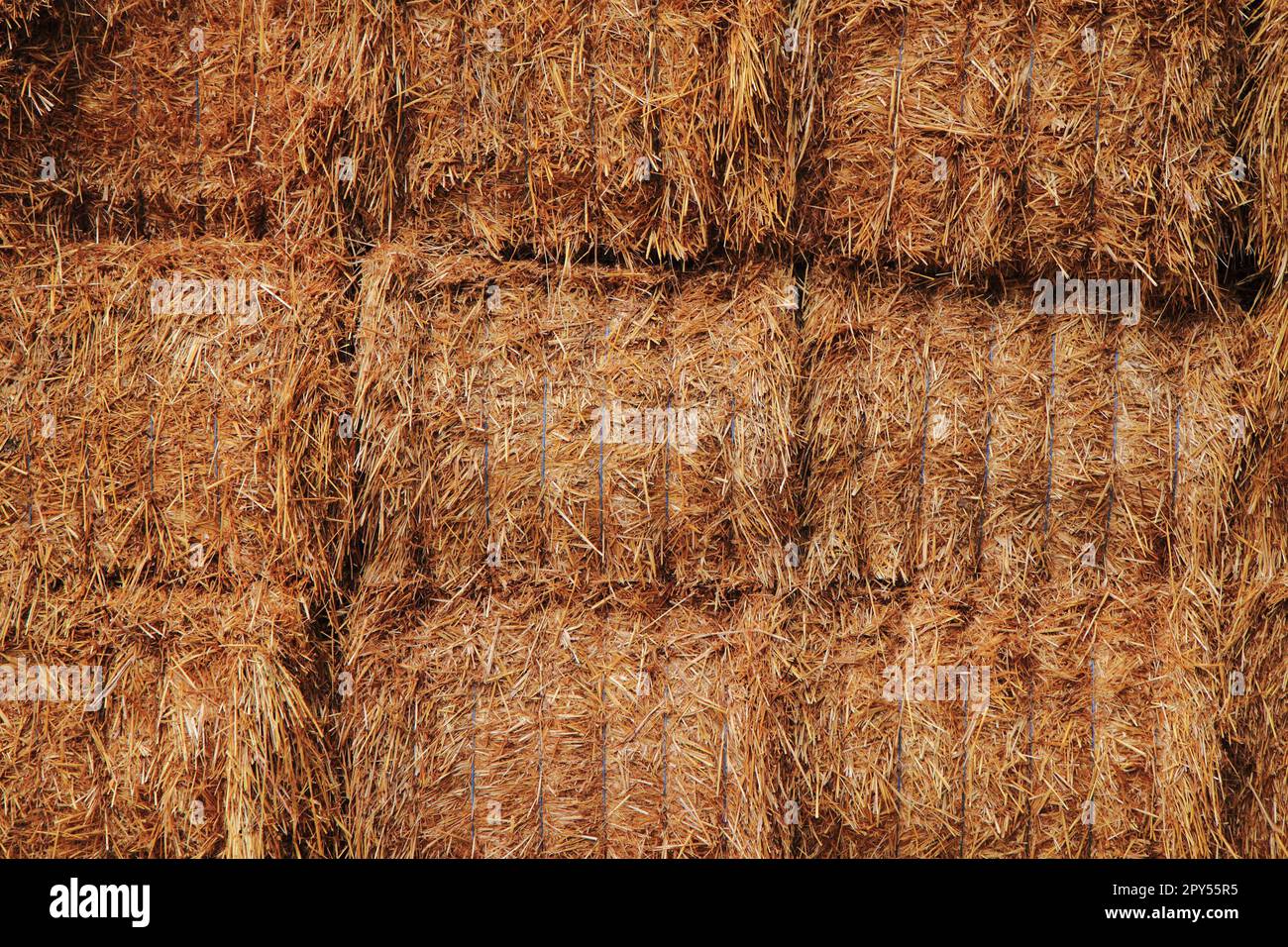 natural straw texture from the big farm Stock Photo - Alamy