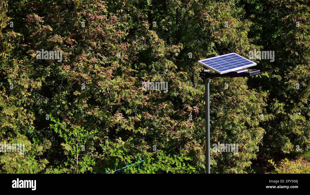 Lighting pole with photovoltaic panel and LED lamp lights with green ...