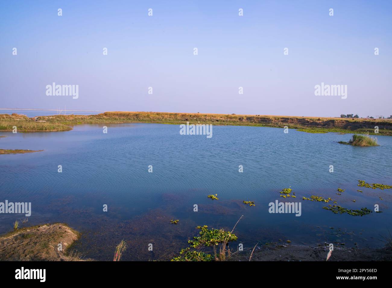 Crystal clear blue water lake landscape view nearby Padma river in ...