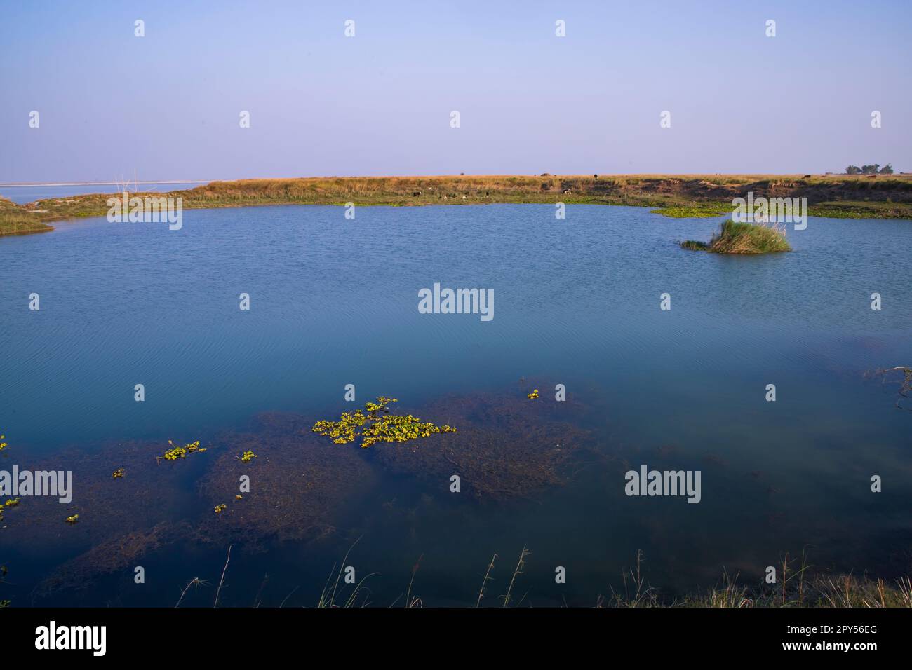 Crystal clear blue water lake landscape view nearby Padma river in ...