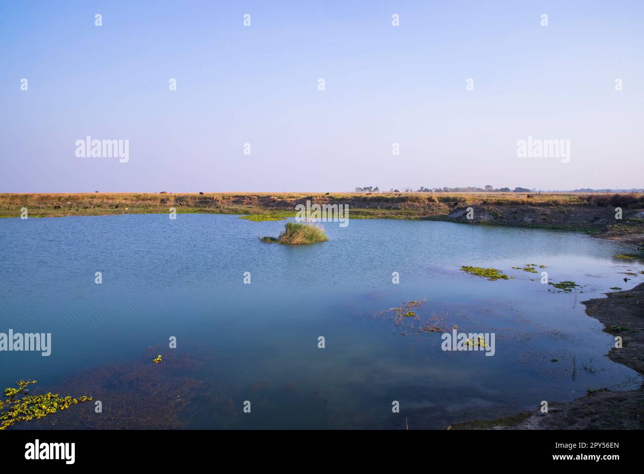 Crystal clear blue water lake landscape view nearby Padma river in ...
