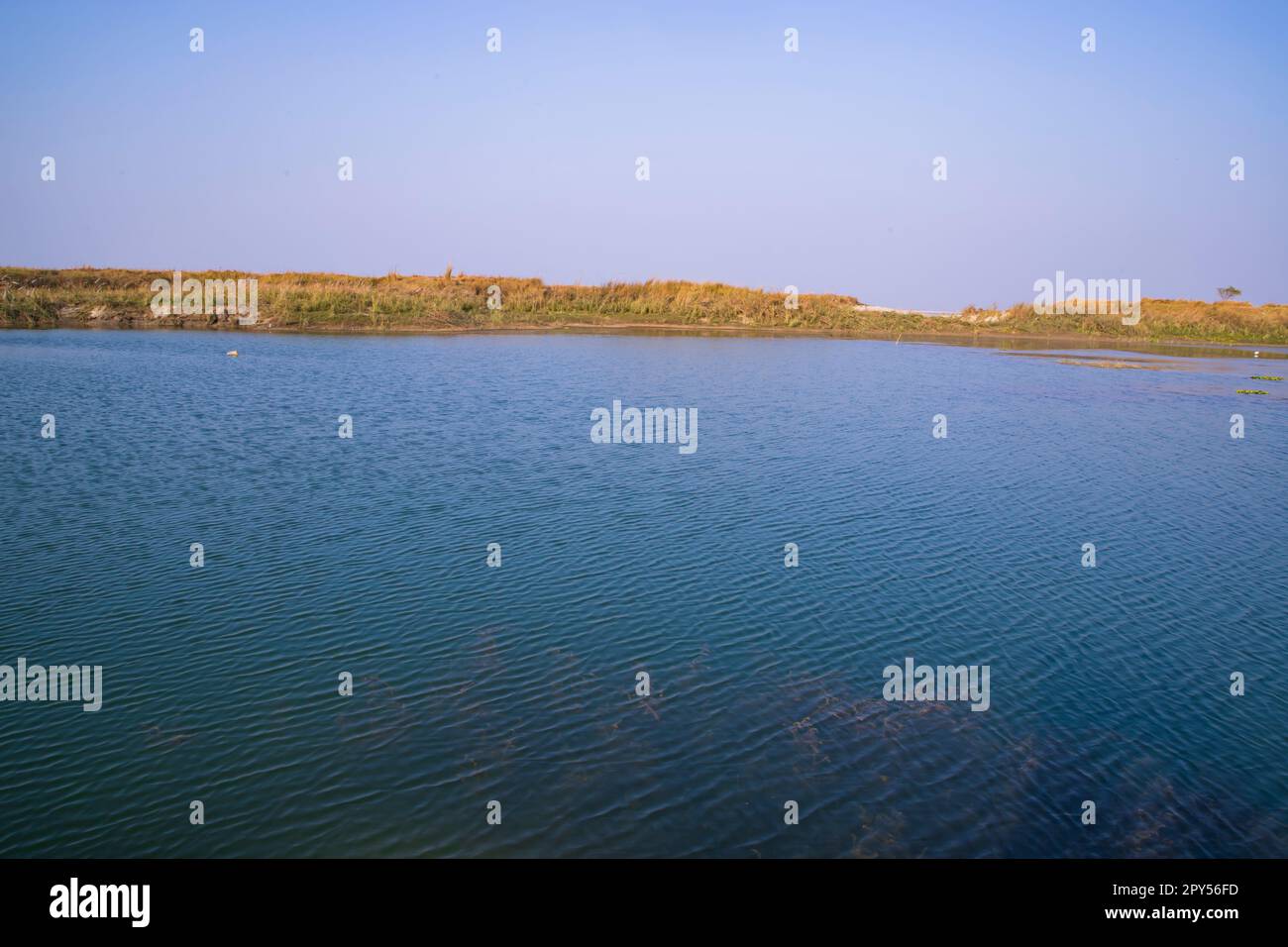 Crystal clear blue water lake landscape view nearby Padma river in ...