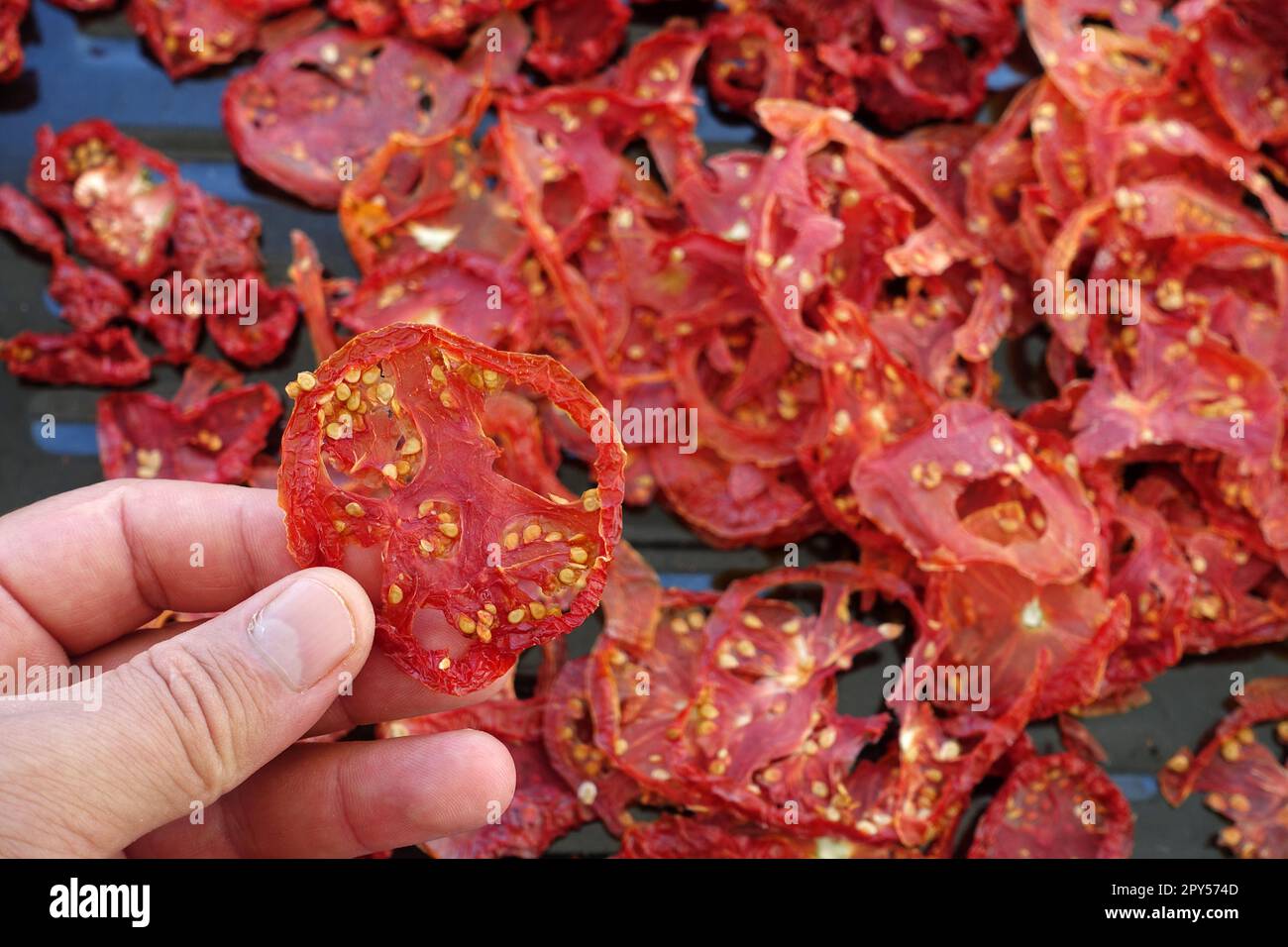 dried tomatoes, drying tomatoes in the natural sun, food dried Stock ...