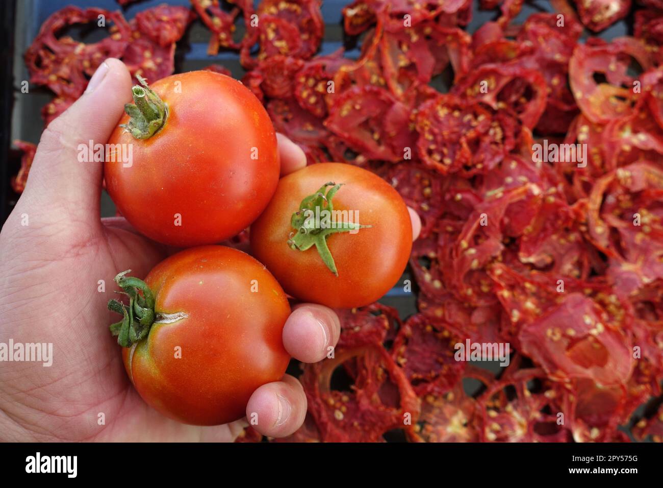 healthy foods,dried tomatoes,close-up dried tomatoes Stock Photo - Alamy