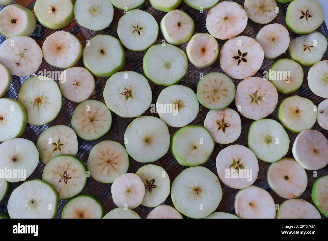 drying homemade apples, drying apples, sliced apple slices left to dry ...